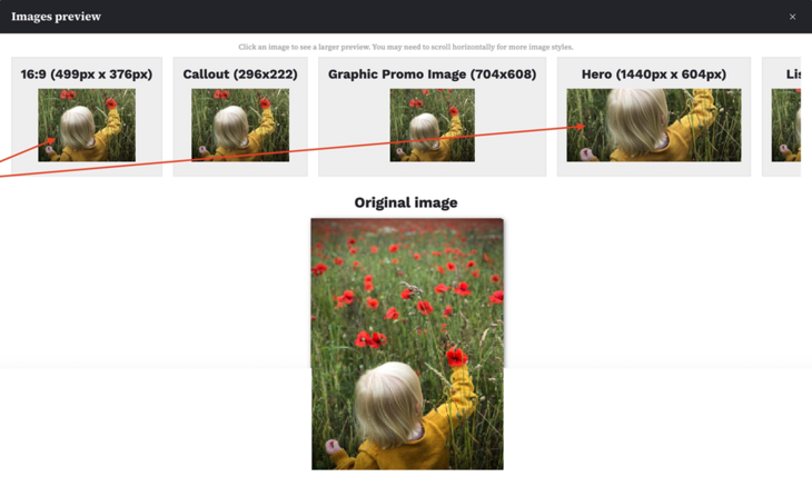 Use Focal Point in Images | Digital Experience